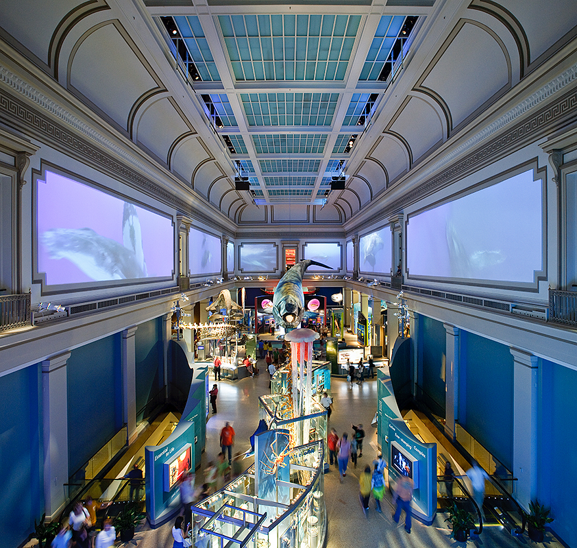 Sant Ocean Hall | Architect Magazine