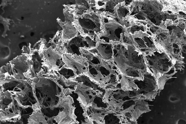 Faux Brain Tissue Could Help Monitor Architectural Repairs | Architect ...