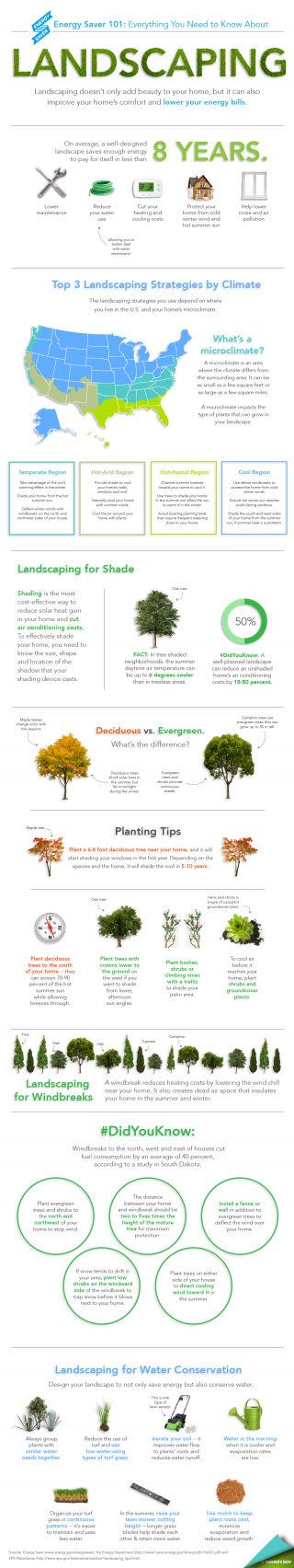 Landscape Design Cheat Sheet| Pool & Spa News
