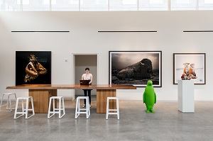 21c Opens Third Museum Hotel in Bentonville, Ark. | Architect Magazine