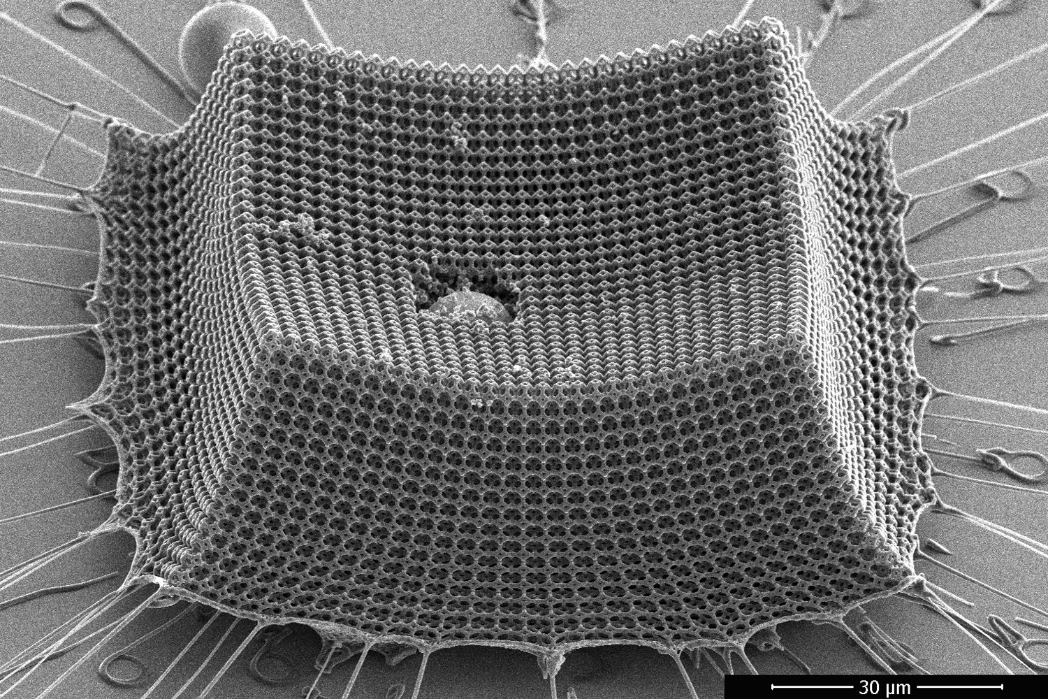 Week in Tech: The Potential of Nanoscale Structures | Architect Magazine