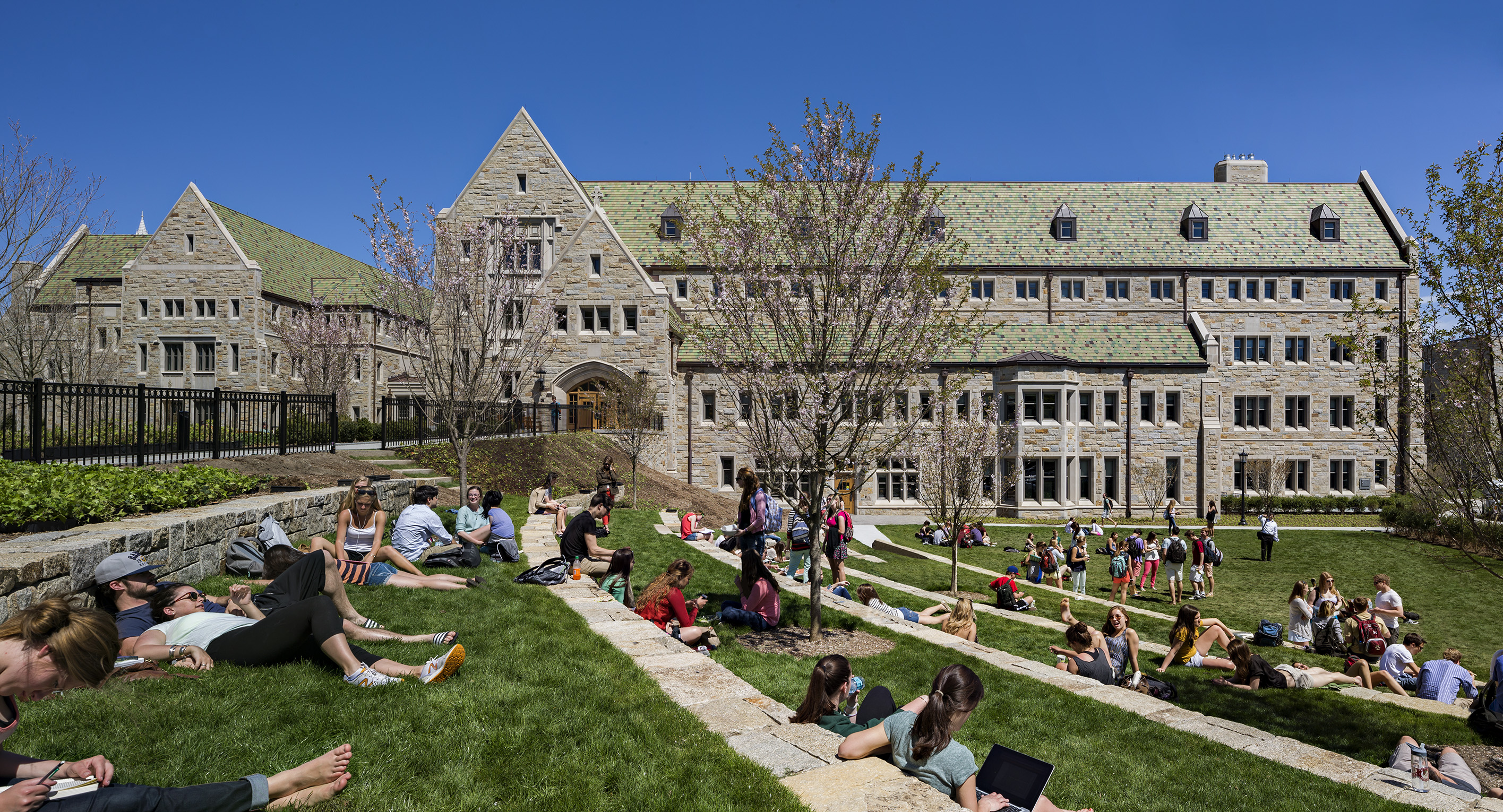 Stokes Hall | Architect Magazine