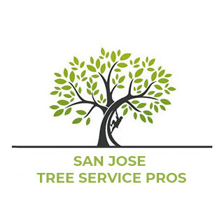 San Jose Tree Service Pros | Architect Magazine