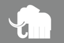 Ivory Homes | Builder Magazine