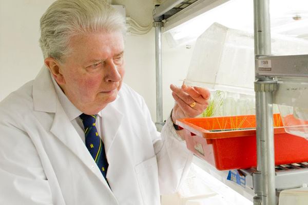 Scientist Enables Plants to Harness Nitrogen from the Air | Architect ...