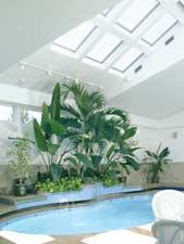 The Artist: Jason Lott| Pool & Spa News