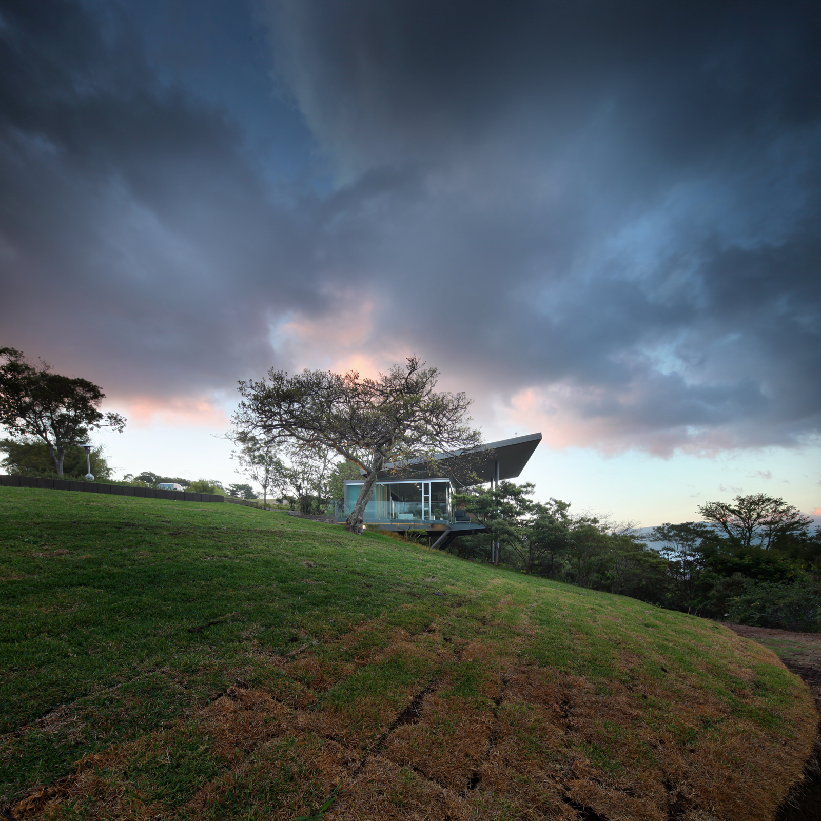 Ficus and Lodge | Architect Magazine
