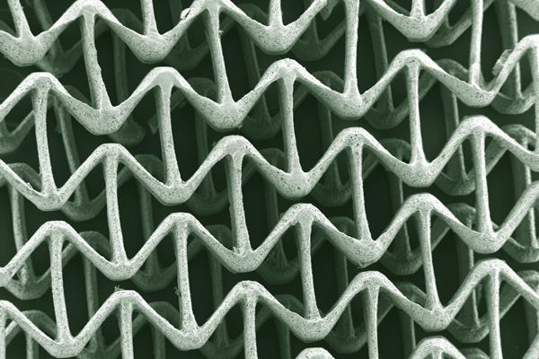 Redesigning the Human Body | Architect Magazine