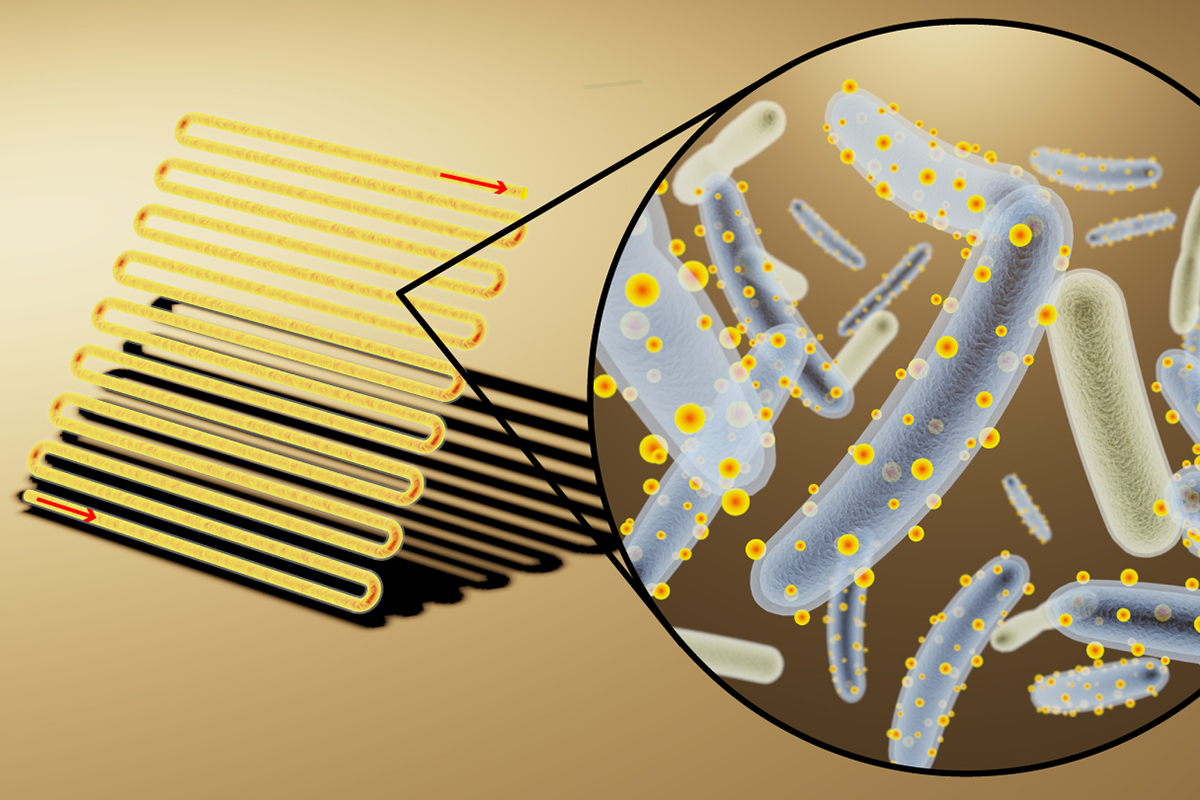 Bacteria That Efficiently Produces Energy | Architect Magazine