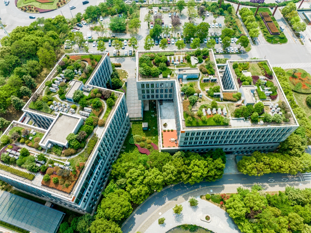 Building a Greener Tomorrow: Six Transformative Strategies for a Nature ...