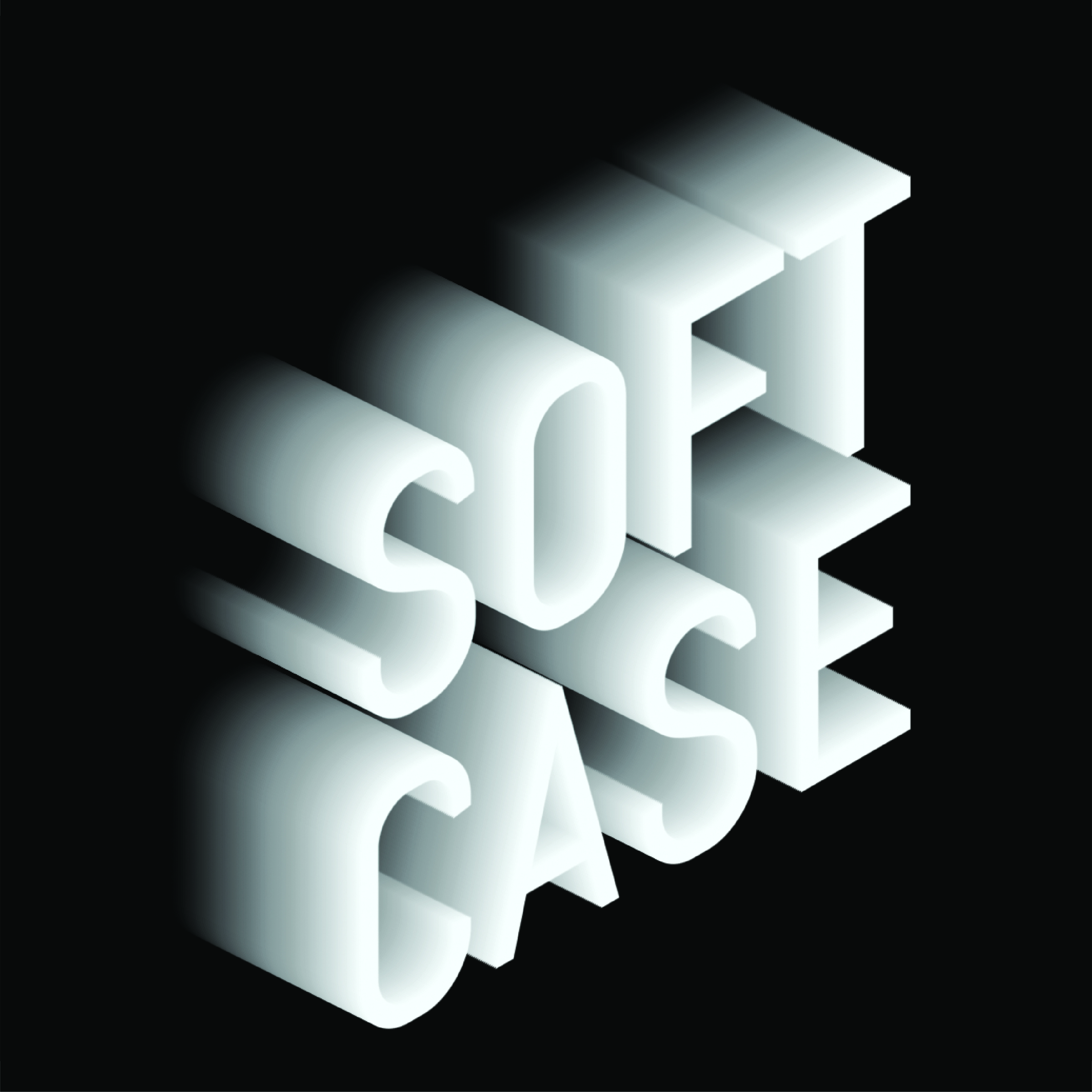 SOFT CASE STUDIO | Architect Magazine