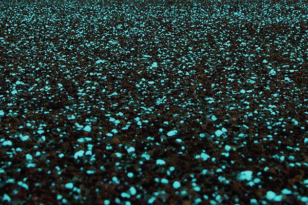 Illuminating Pathways with the Sun and Stars | Architect Magazine