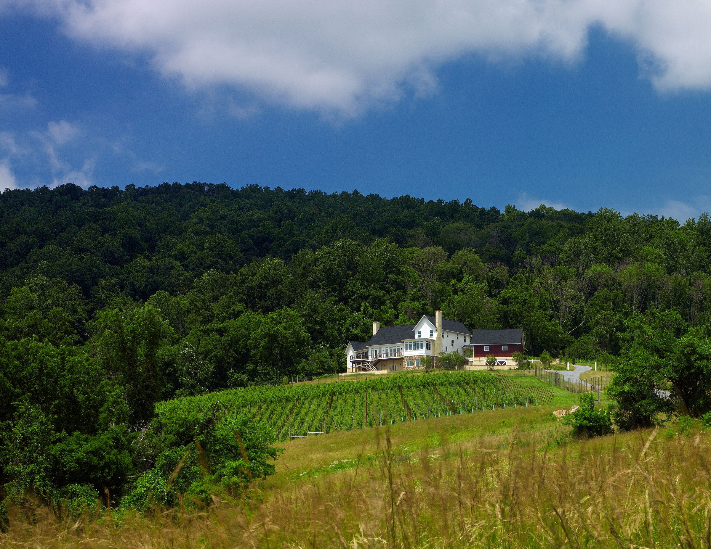 Ridgeside Vineyard Farmhouse | Builder Magazine