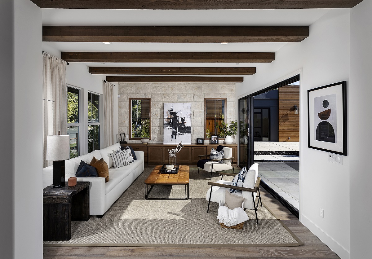 BlackPine Communities' Award-Winning Alley Row Collection Balances New ...