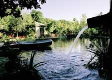 French Twist| Pool & Spa News