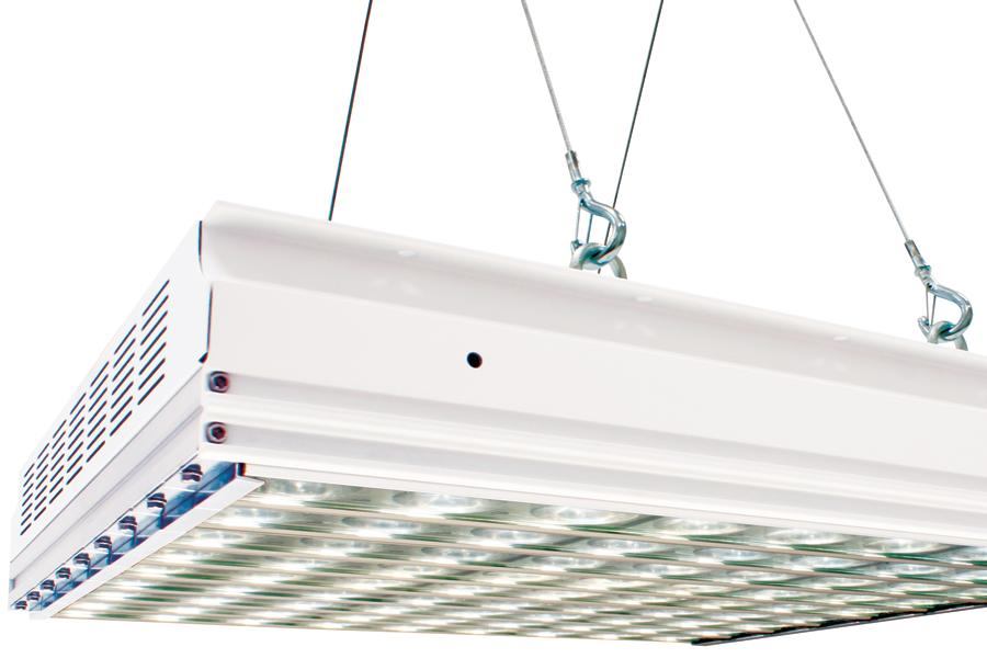 Lusio Low Bay Wide Fixture | Architect Magazine