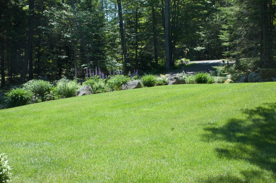 Top Landscape Trends for Fall | Builder Magazine