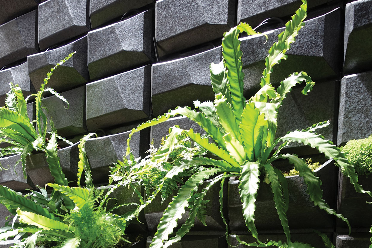 Citation: Nanobiome Building Skin | Architect Magazine