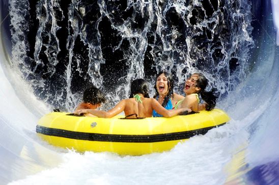 No.7 Adventure Island| Aquatics International Magazine