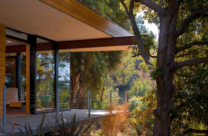 Sycamore House | Architect Magazine