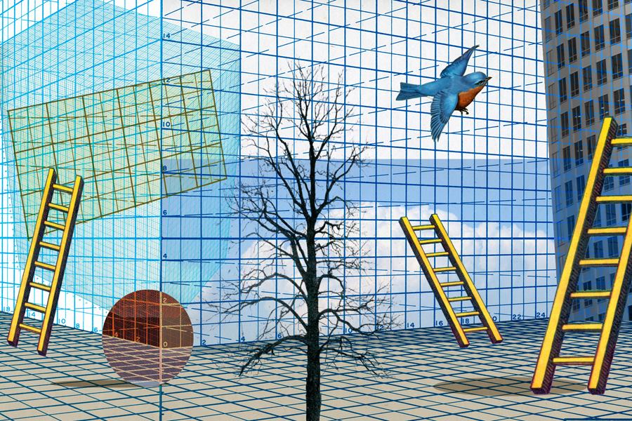 Aging In Place | Architect Magazine