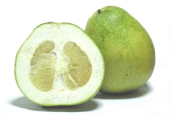 Scientists Develop Aluminum Hybrid Inspired by Fruit | Architect Magazine