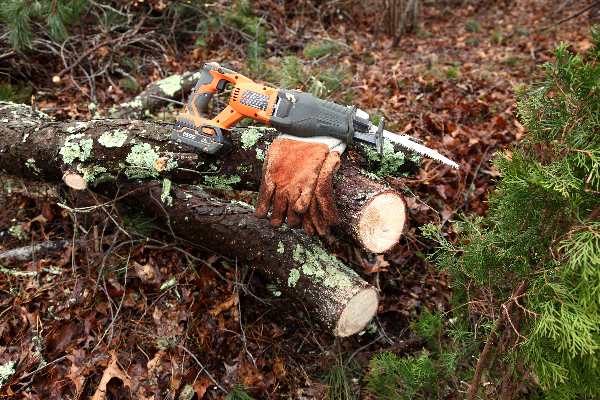 The Little ‘Cip Saw That Could | JLC Online