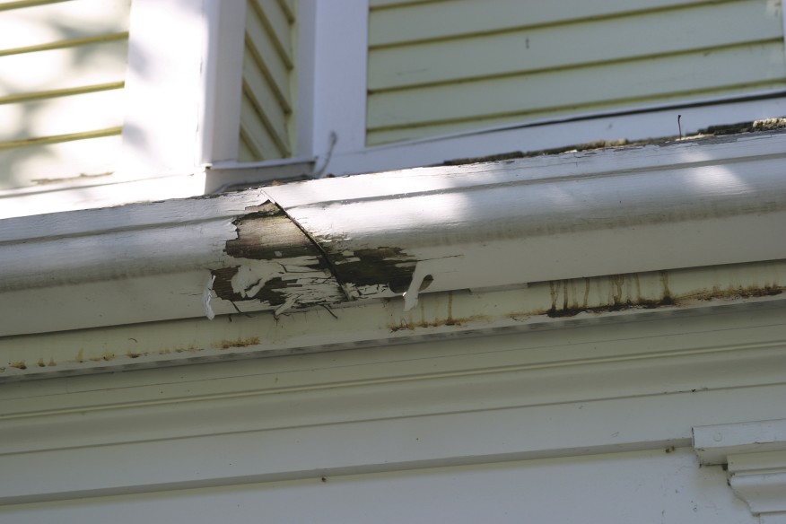 Inspector General to Scrutinize EPA's Lead-Paint Rule | JLC Online