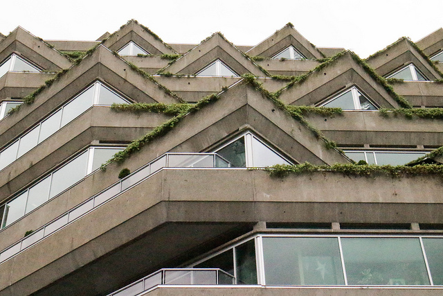Evergreen Building | Architect Magazine