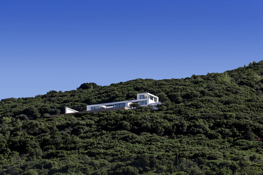 Silver House | Architect Magazine