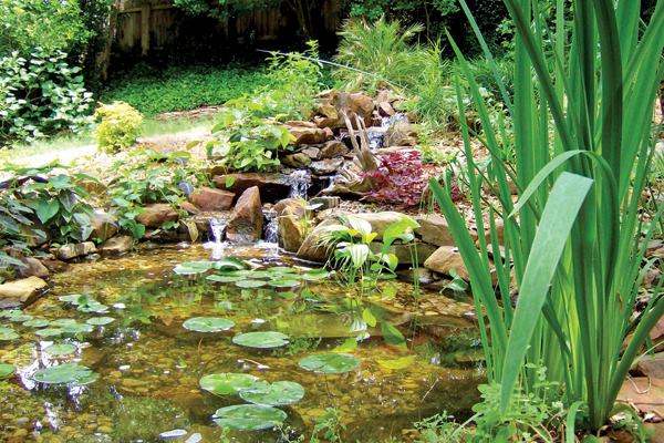 Matt Boring | Texas Ponds & Water Features| Pool & Spa News