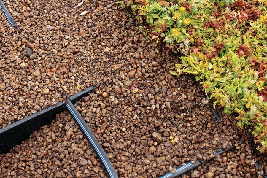 Firestone Building Products SkyScape | Architect Magazine