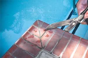 Cutting Corners| Pool & Spa News