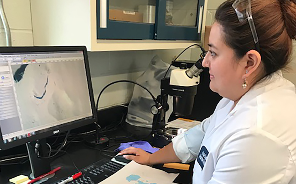 Ramuc Offers Paint Chip Analysis, Adds Sales Manager| Pool & Spa News