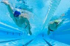 Need for Speed| Aquatics International Magazine
