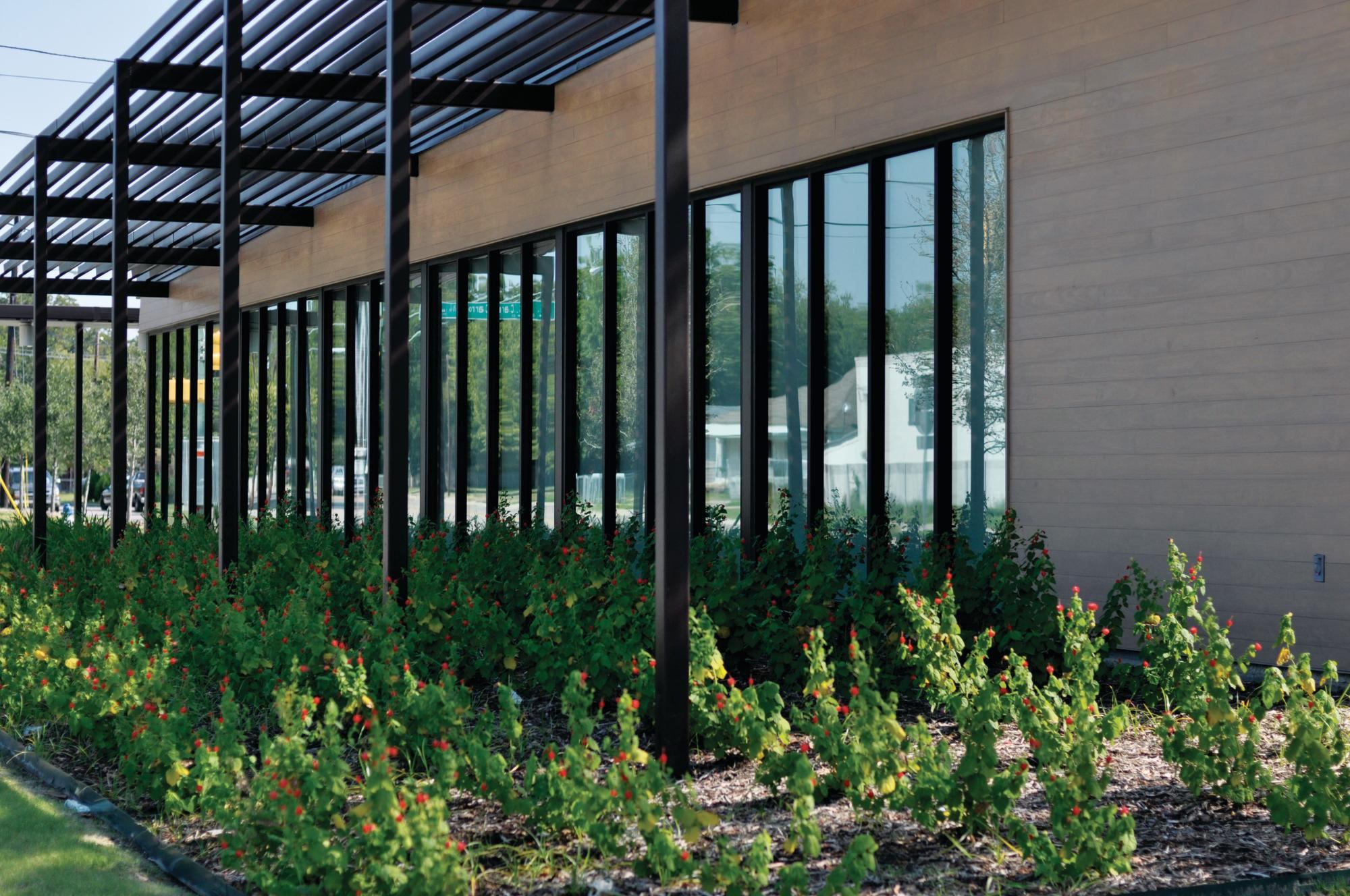 Accoya Solid Wood | Architect Magazine