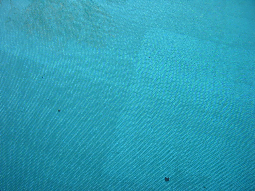 The Five Most Common Pool Tile Issues and How to Avoid Them by Greg ...