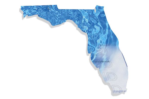 FSPA Presents its Top Individual Honors| Pool & Spa News