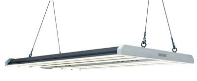 Essentials Bay Series, Lusio Solid-State Lighting | Architect Magazine