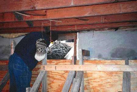 Repairing a Bulging Foundation | JLC Online