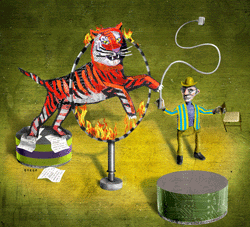 Taming the Tiger | Builder Magazine